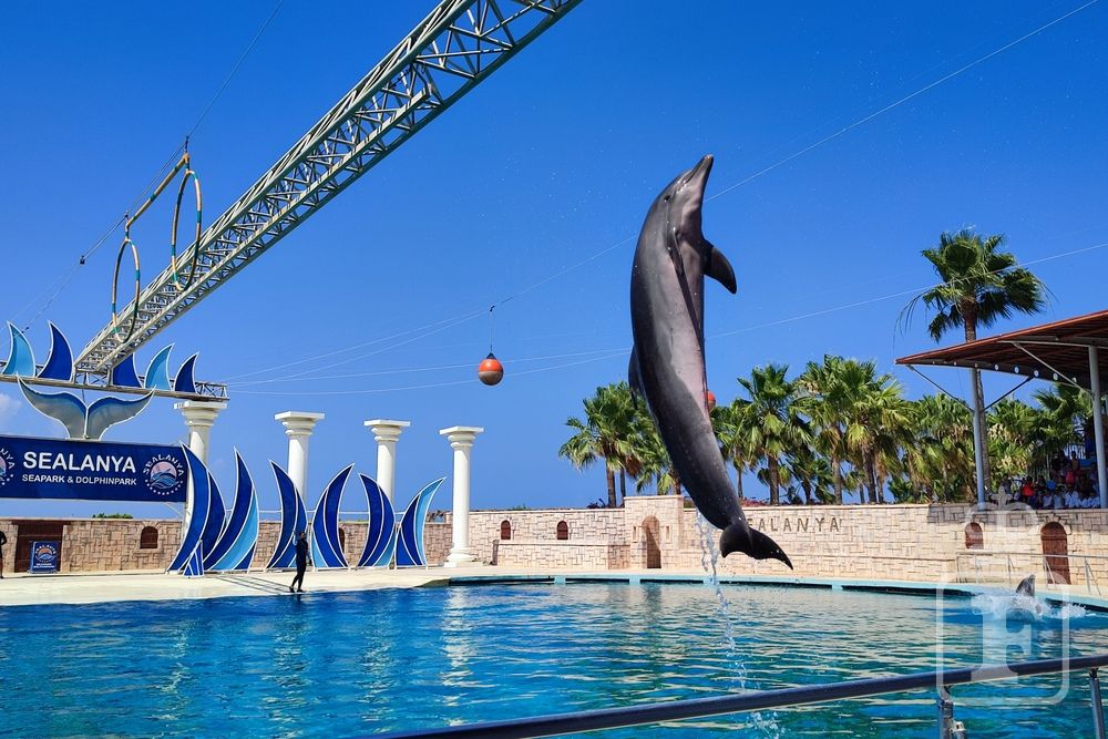 Hotel Club Nena - Dovolenka Turecko : CK FIFO